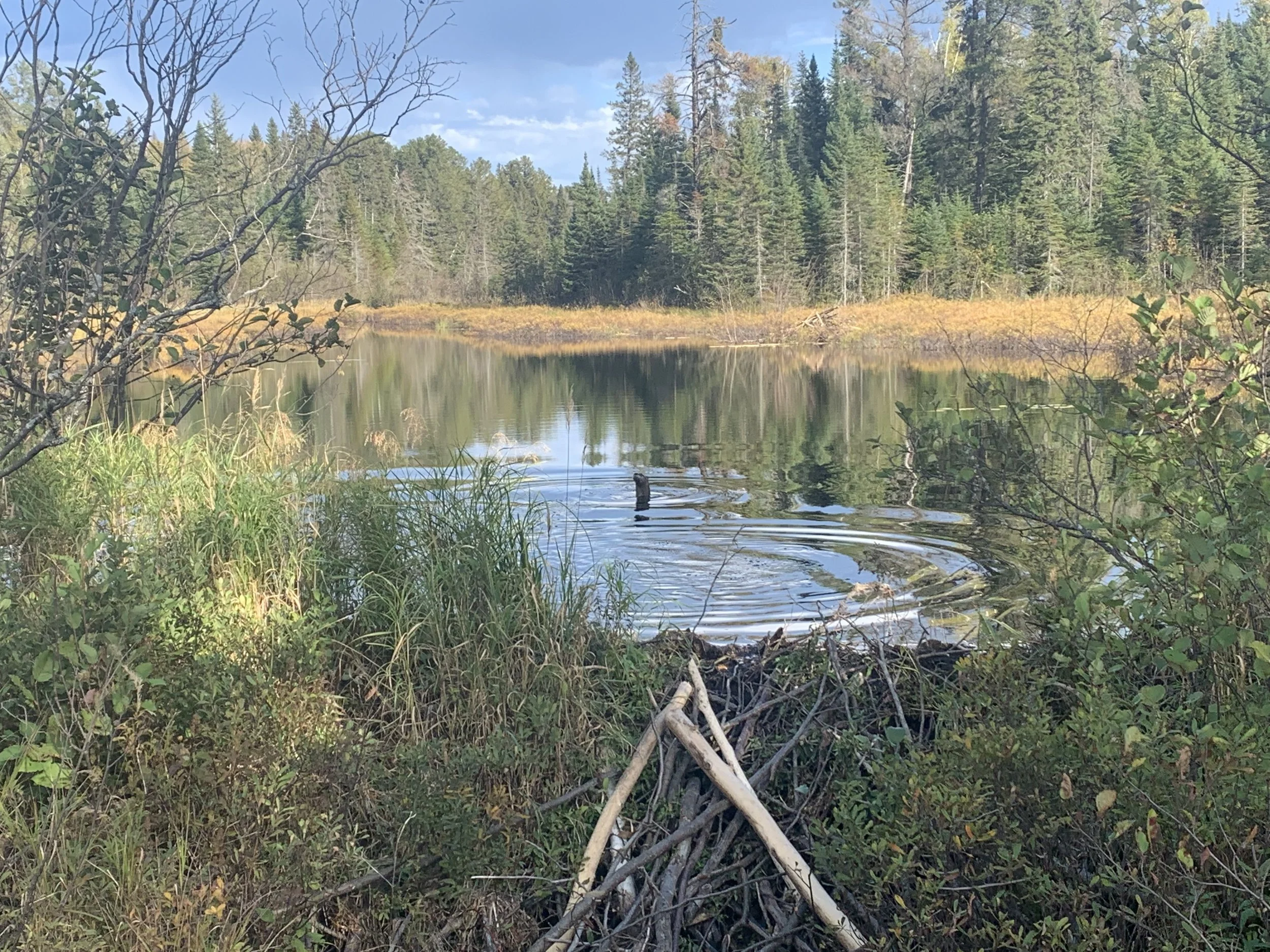 Hiking Eagle Mountain - Highest Point in Minnesota — Nature Impacts Us