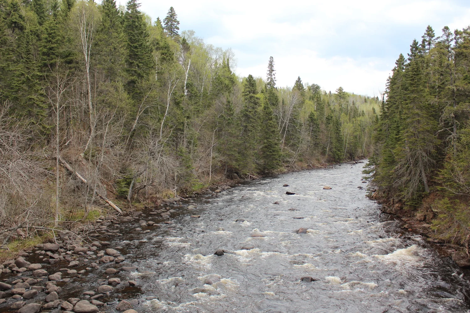 Hiking at Judge CR Magney State Park — Nature Impacts Us