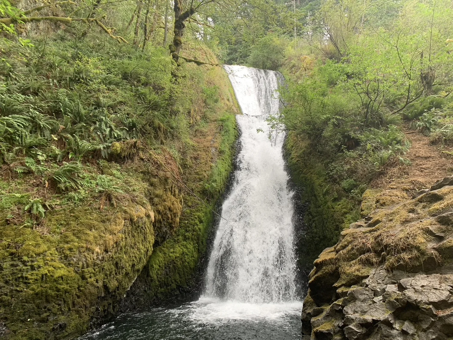Go Waterfalling Along the Historic Columbia River Highway — Nature ...