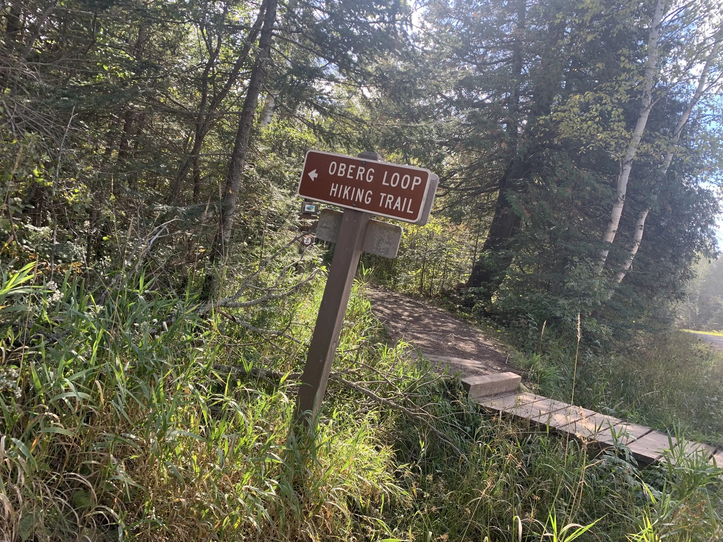 Hiking Oberg Mountain — Nature Impacts Us