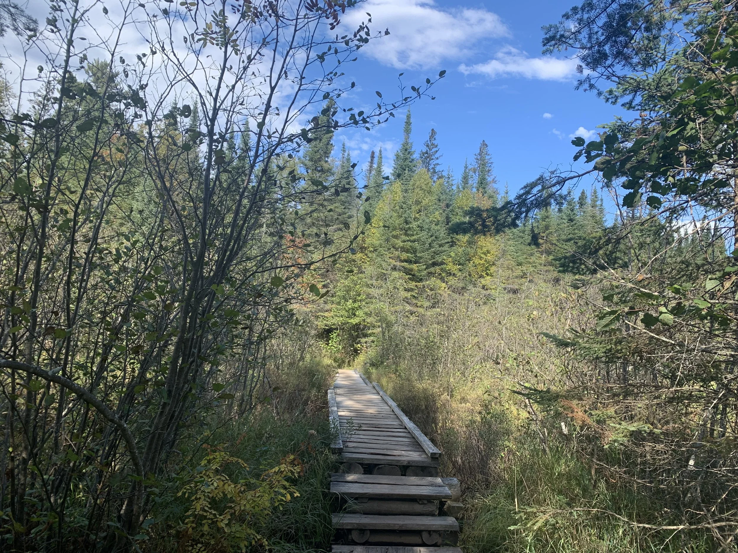 Hiking Eagle Mountain - Highest Point in Minnesota — Nature Impacts Us