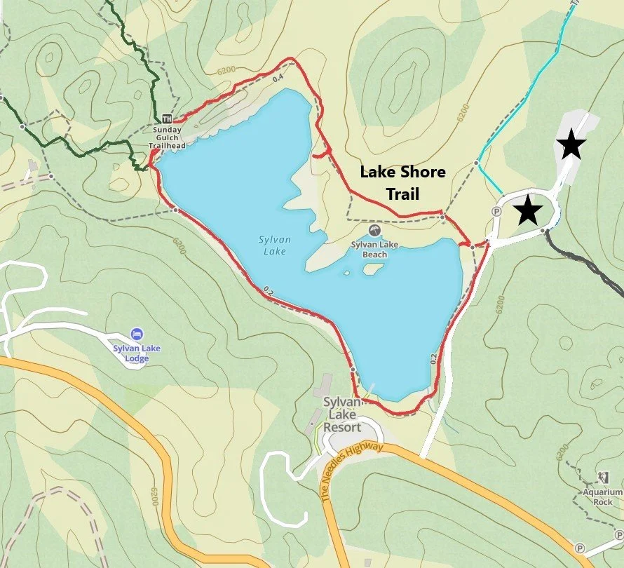 Hiking at Sylvan Lake — Nature Impacts Us