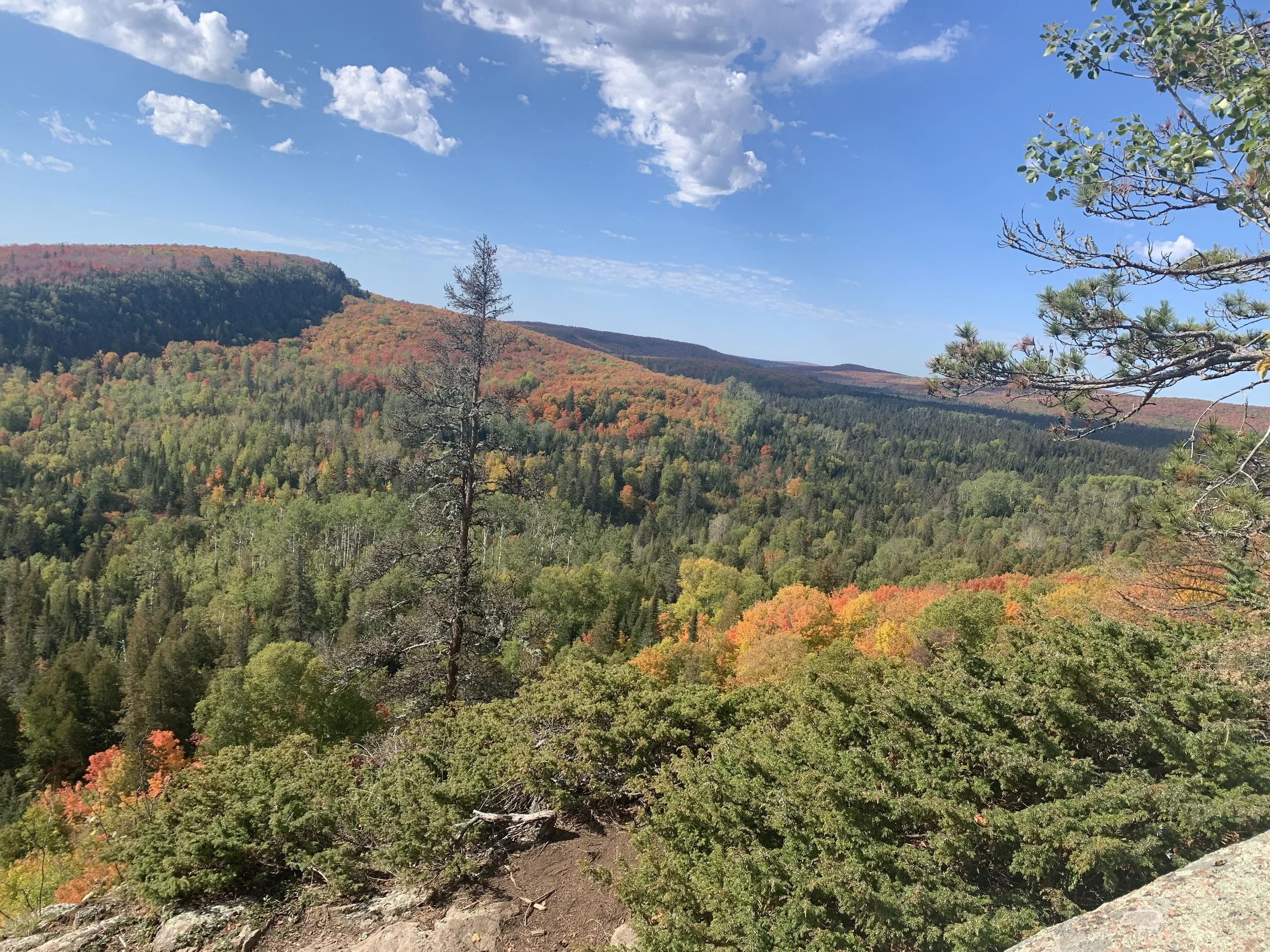 Hiking Oberg Mountain — Nature Impacts Us