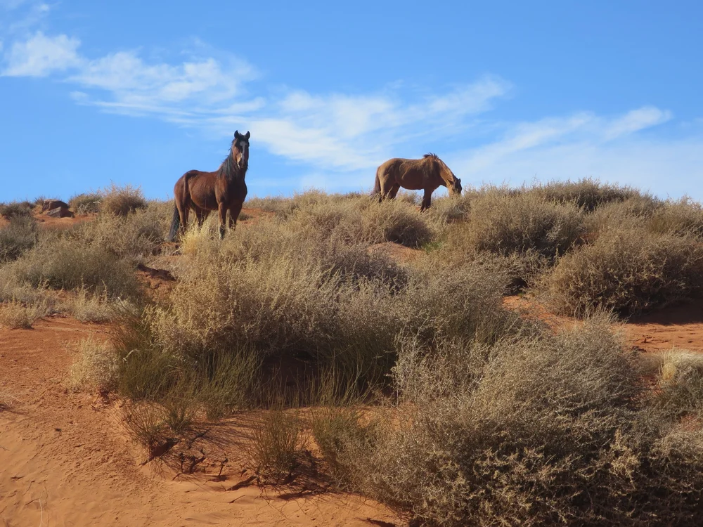 Exploring Monument Valley — Nature Impacts Us
