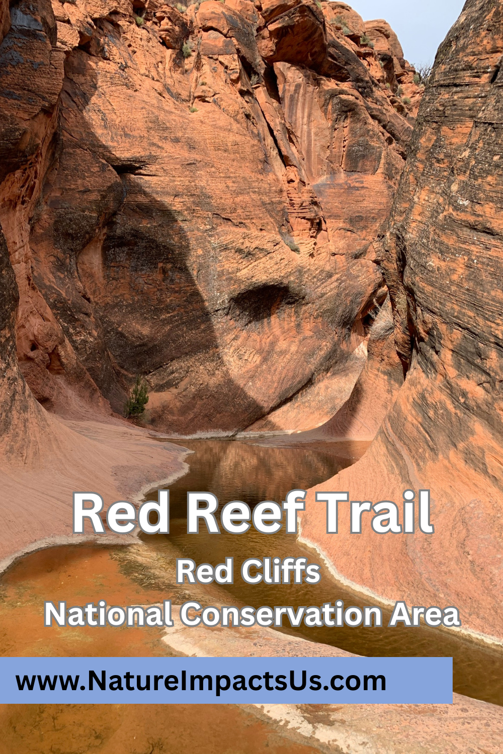 Hiking the Red Reef Trail — Nature Impacts Us