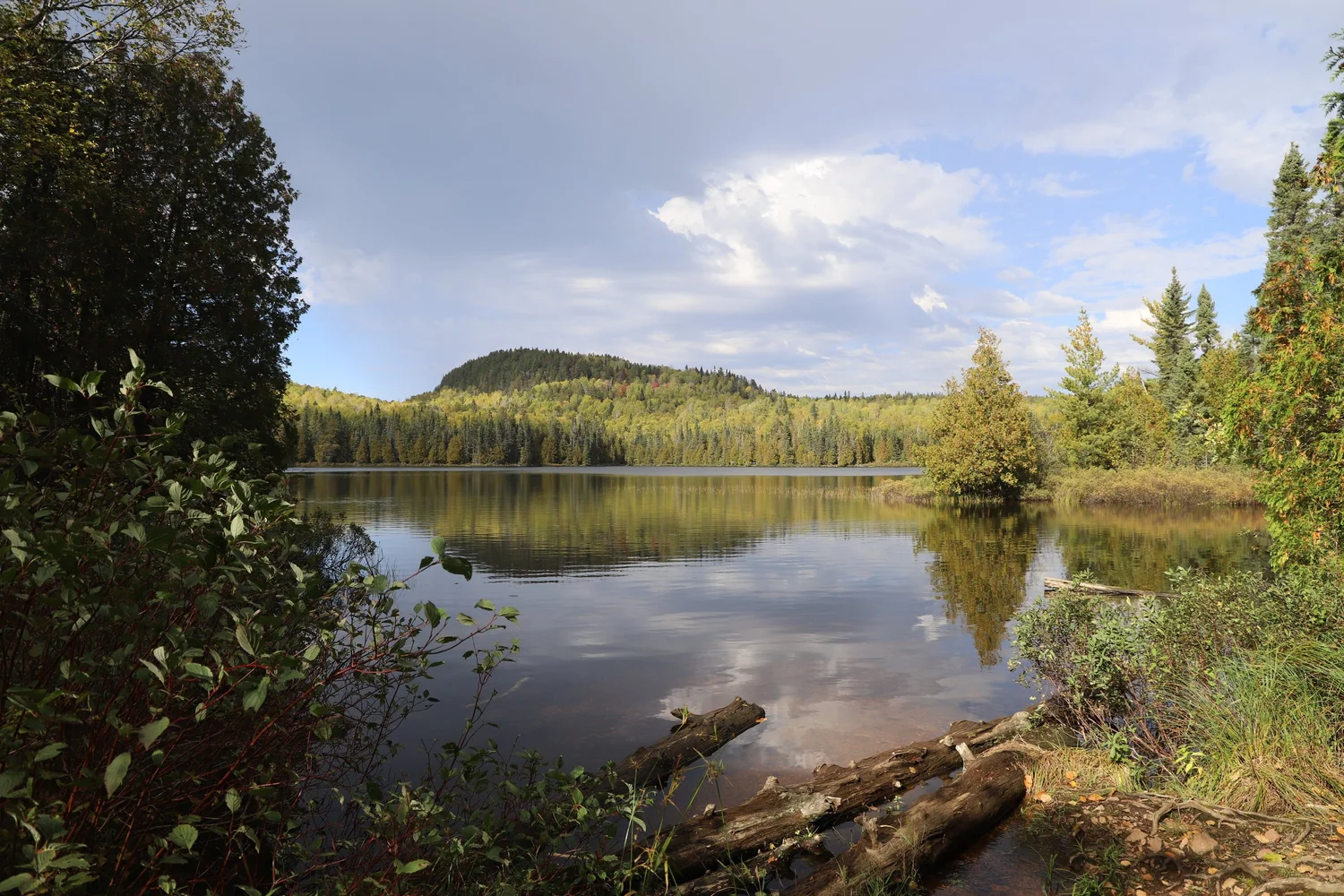 Hiking Eagle Mountain - Highest Point in Minnesota — Nature Impacts Us