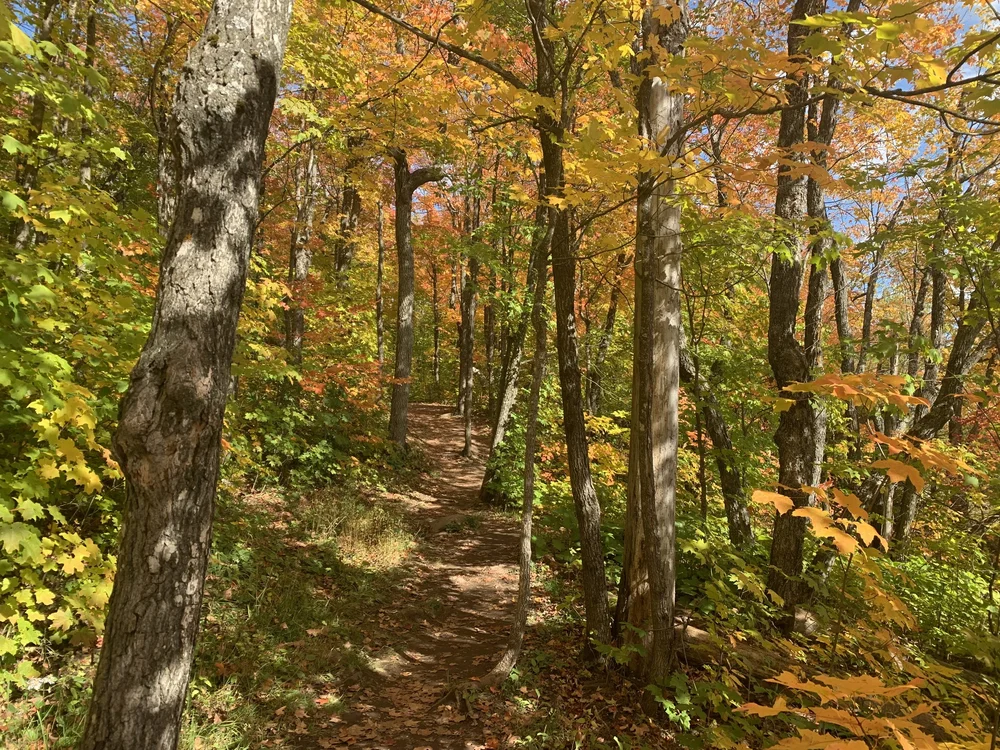 Hiking Oberg Mountain — Nature Impacts Us