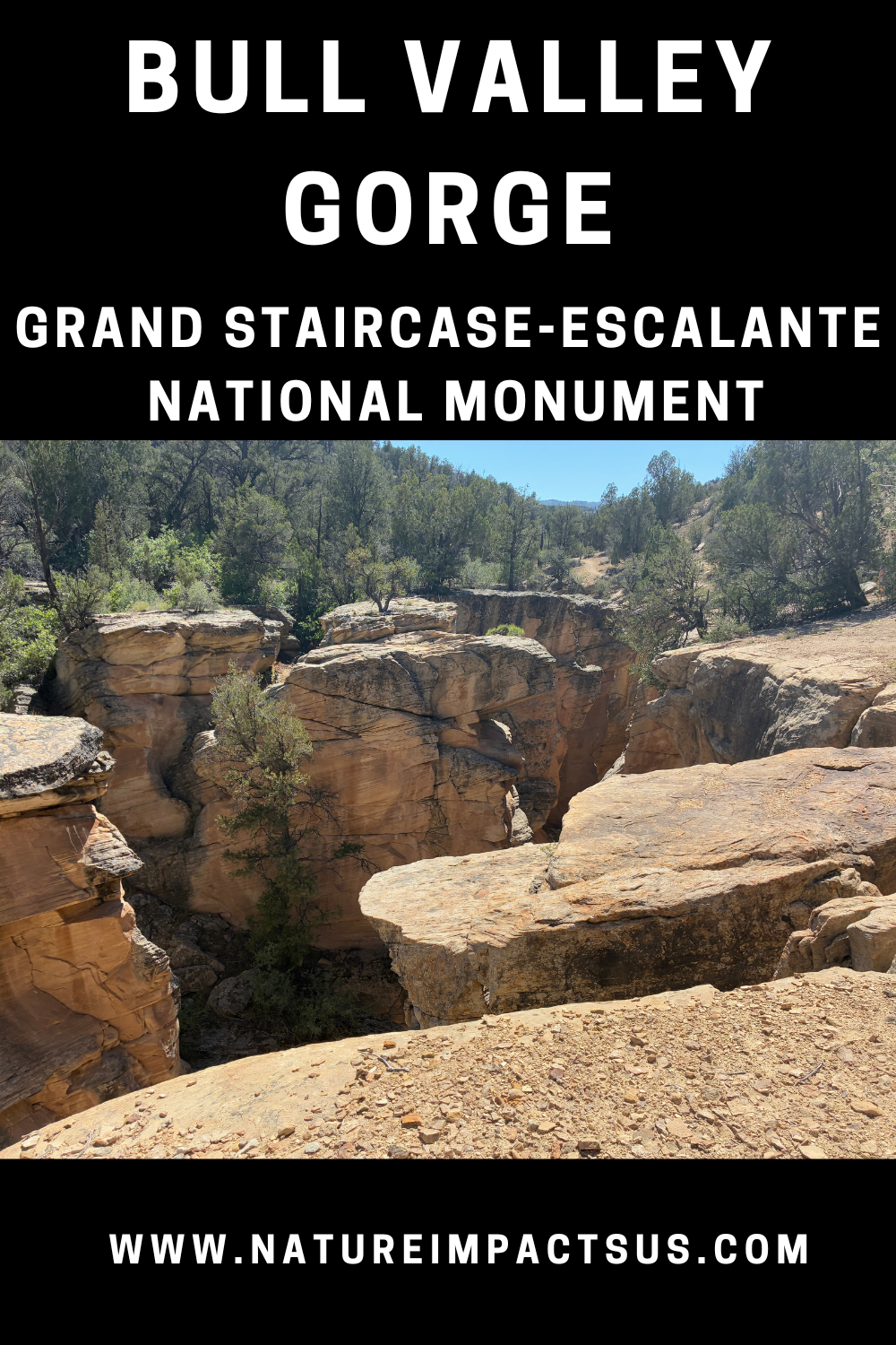 Bull Valley Gorge - Grand Staircase-Escalante National Monumentd ...