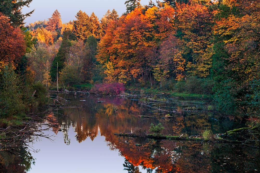 Caring for the Canyon — The Reed College Quest