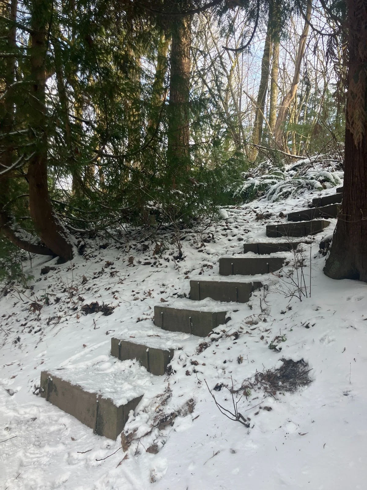 Touch Grass: Snow in the Canyon — The Reed College Quest