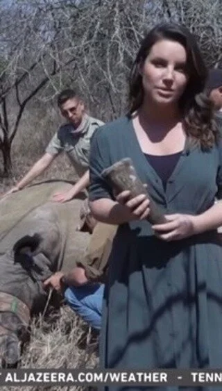 Gallery — Emily Angwin