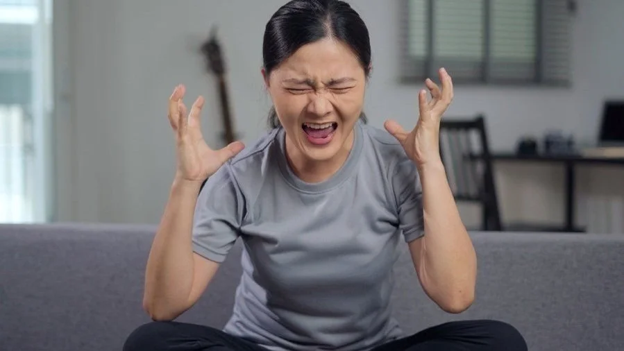 A Fundamental Guide To Understanding Emotional Dysregulation