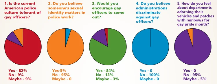 Gay in Law Enforcement: Equality