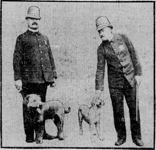 The History of the Police K9