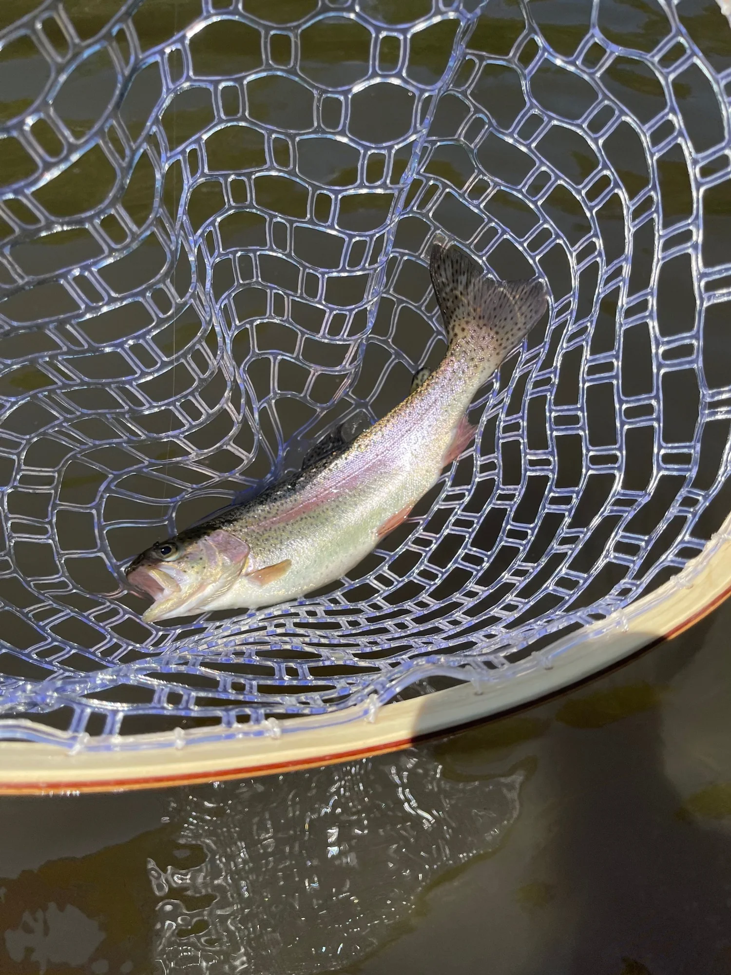 Hook, Line, and Shield: An Officer's Guide to Trout Fishing