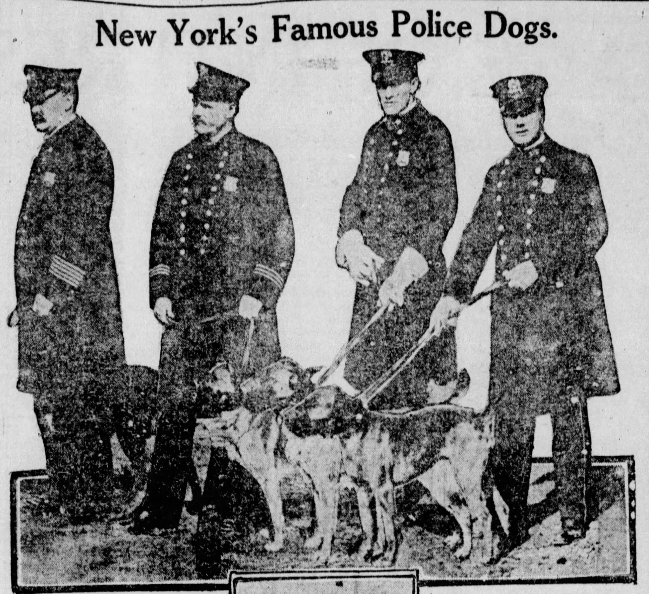 The History of the Police K9
