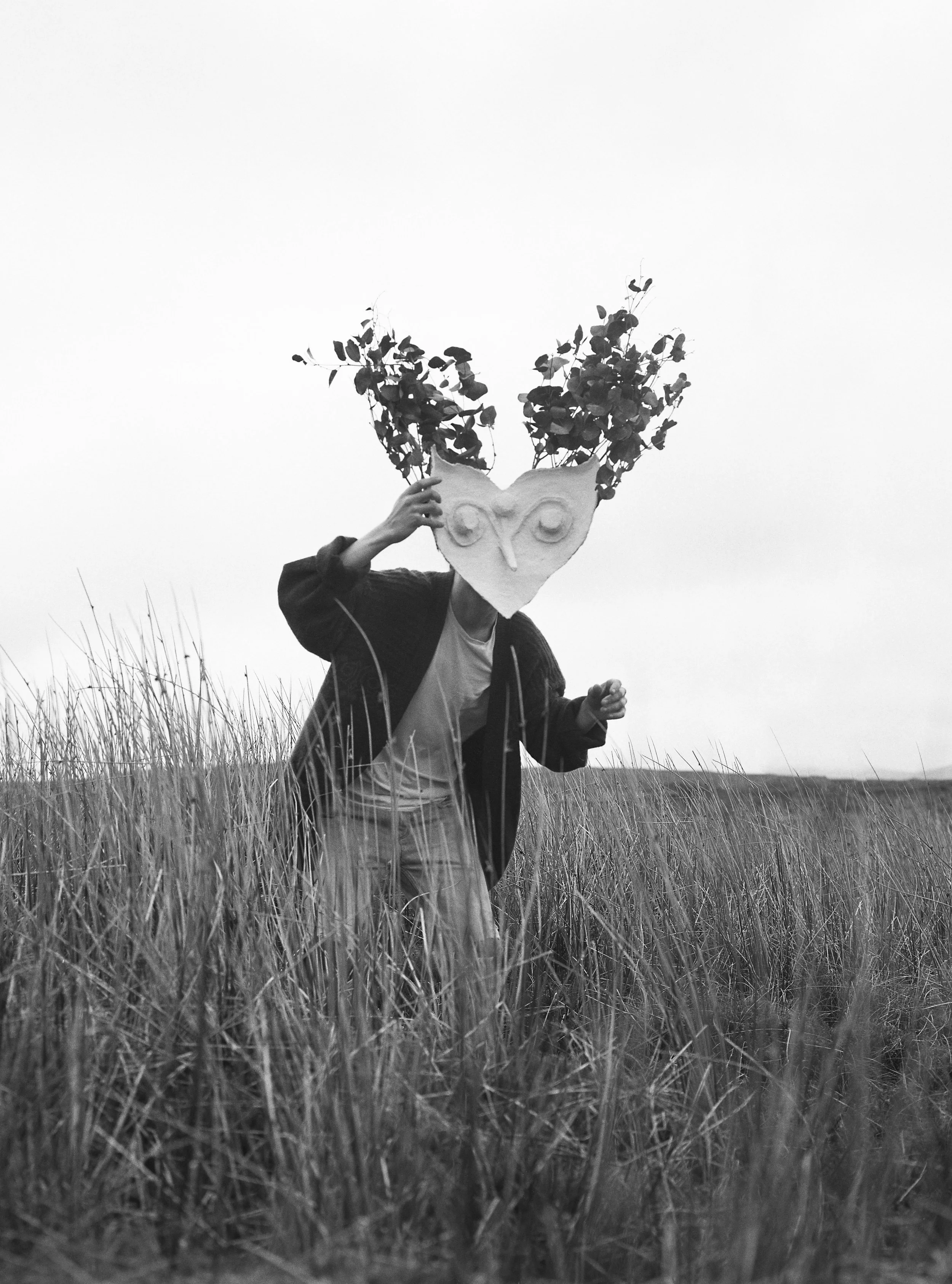 Shop Danielle Macleod — Island Darkroom