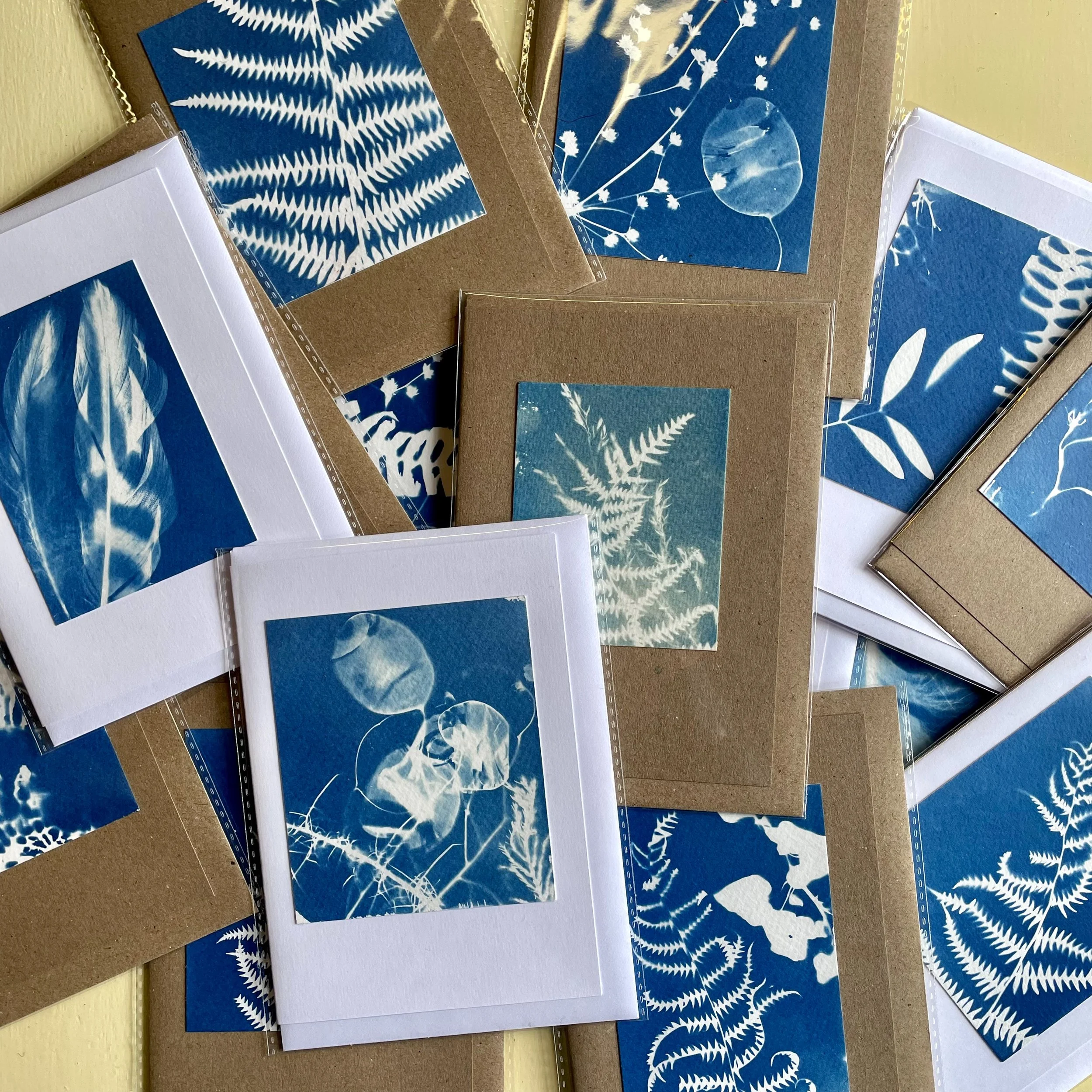 Cyanotype Cards — Island Darkroom