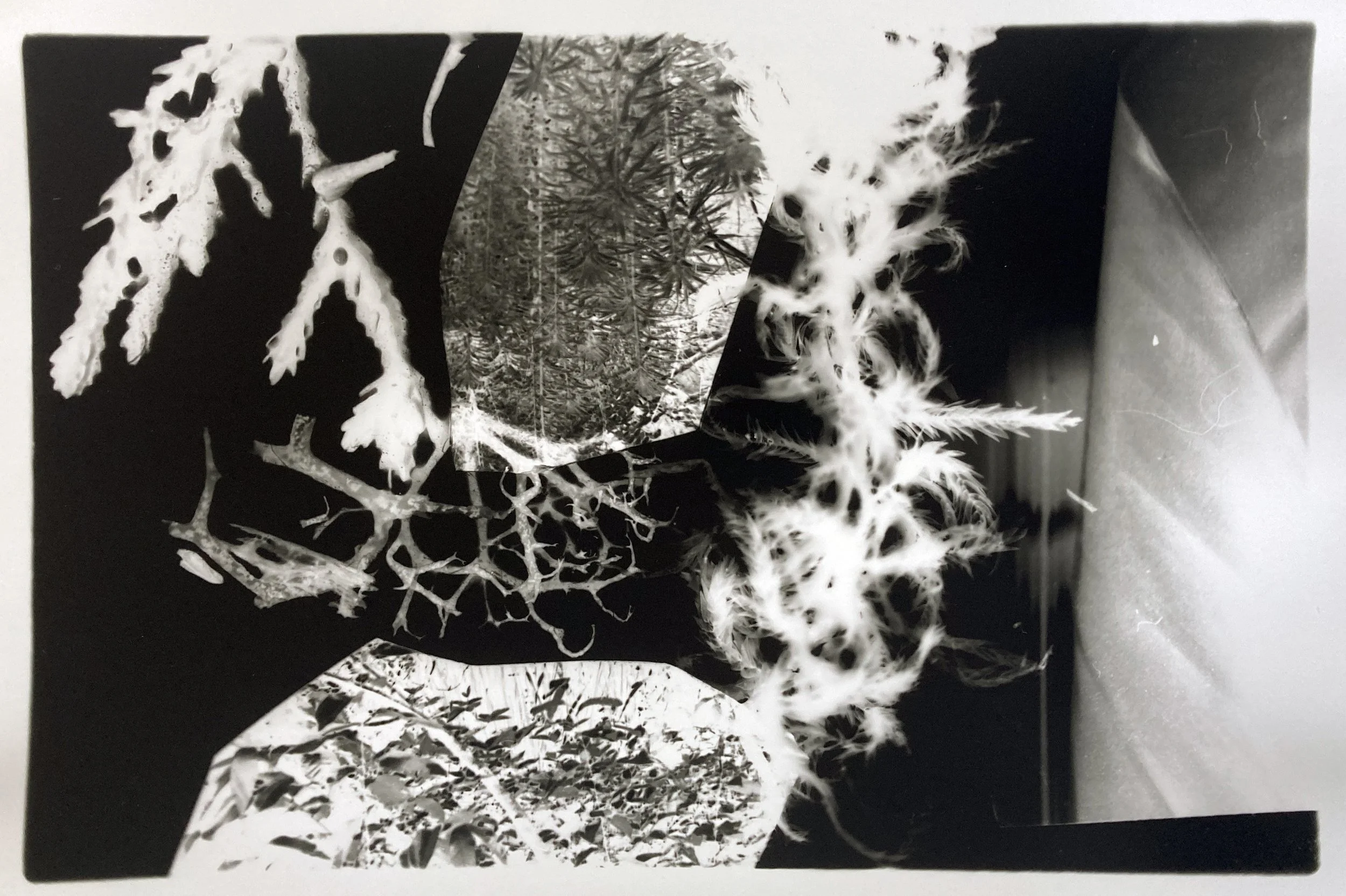 Artist in Residence — Island Darkroom