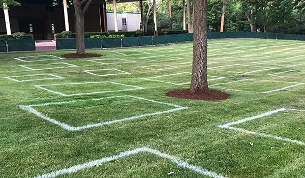 What you need to know about Ravinia’s second half of ticket sales for ...