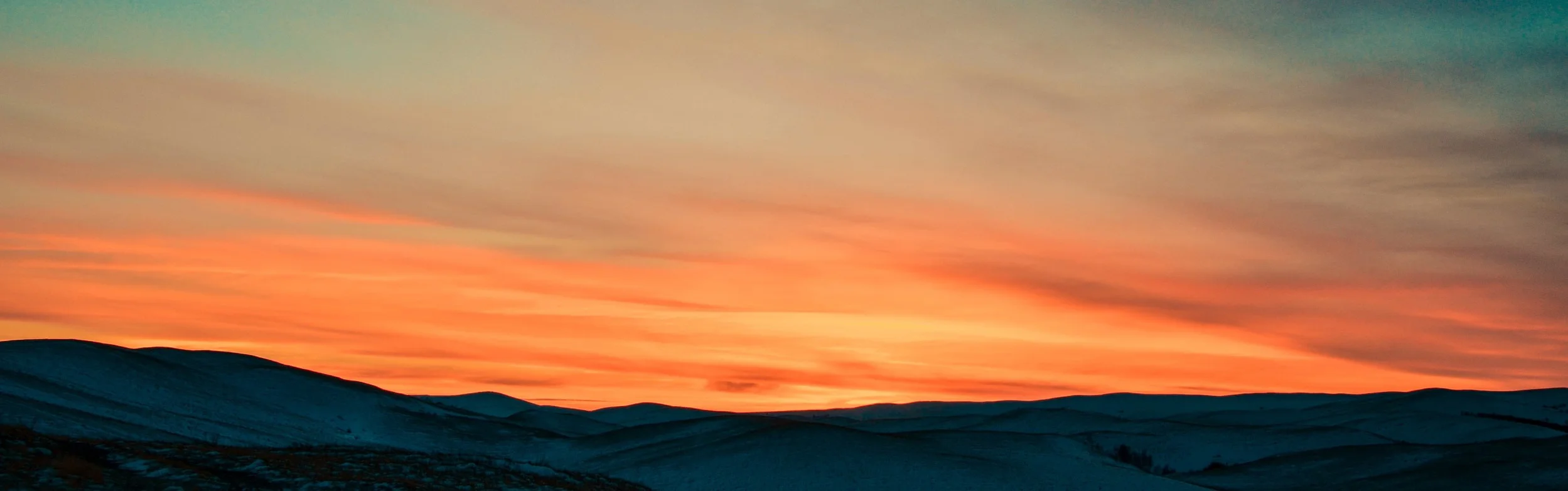 Shannon Budelman, LMHC | Seattle-area therapist