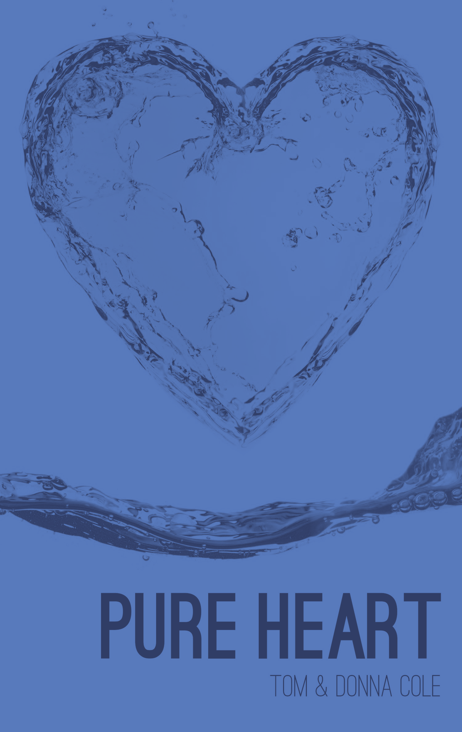 Pure Heart Ministries