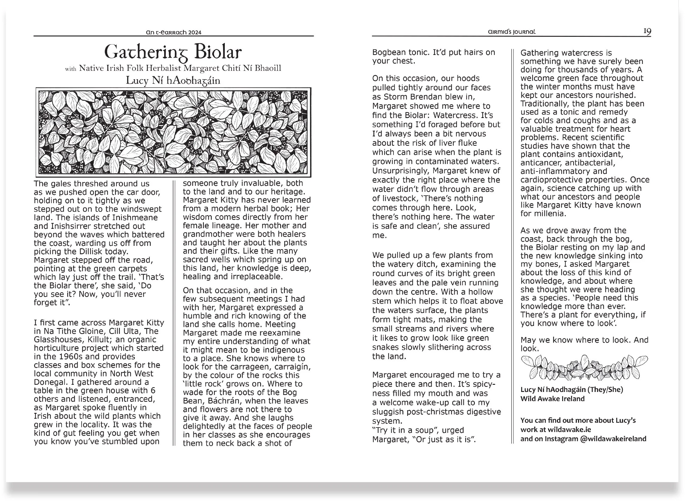 Airmid's Journal: Spring 2024 — The Peculiar Parish Bookshop