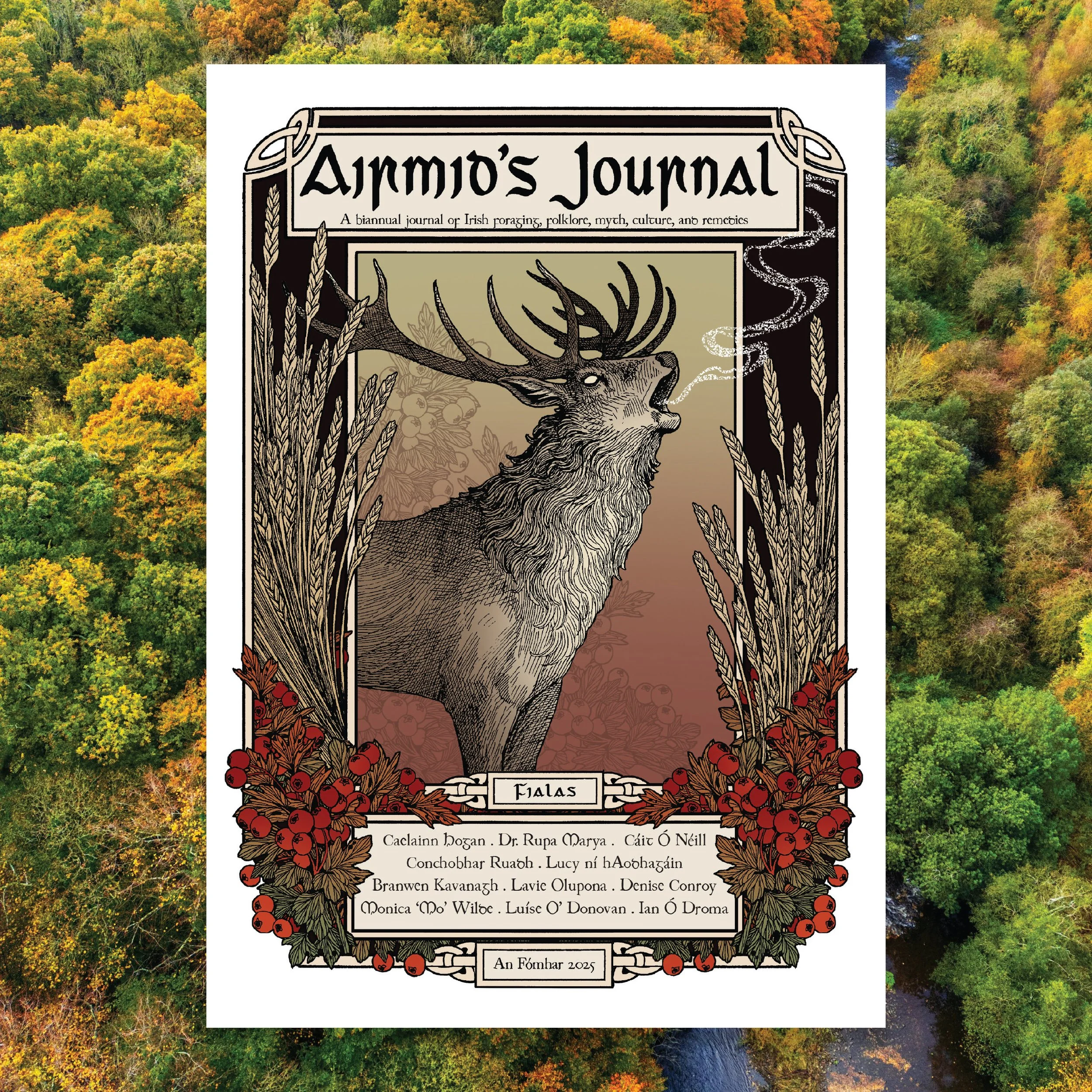 Airmid's Journal: Autumn 2025 — The Peculiar Parish Bookshop