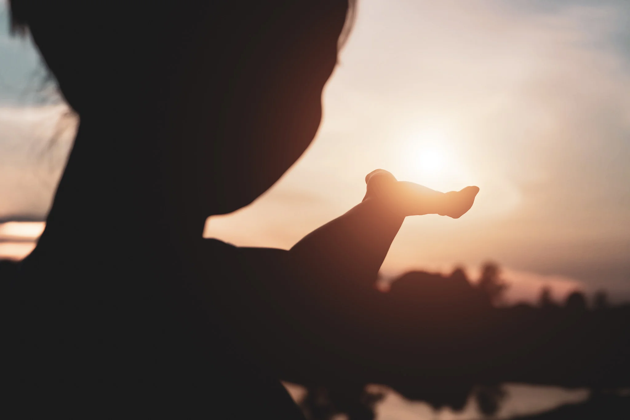 Eye Bank — Envision