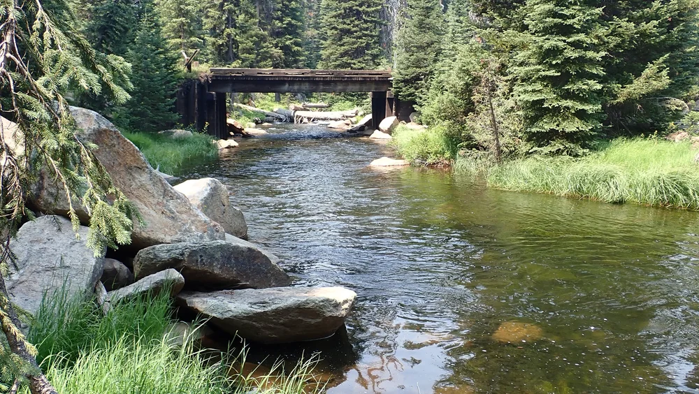 Eye Bank | Restore Sight Today - Help Others See — Envision