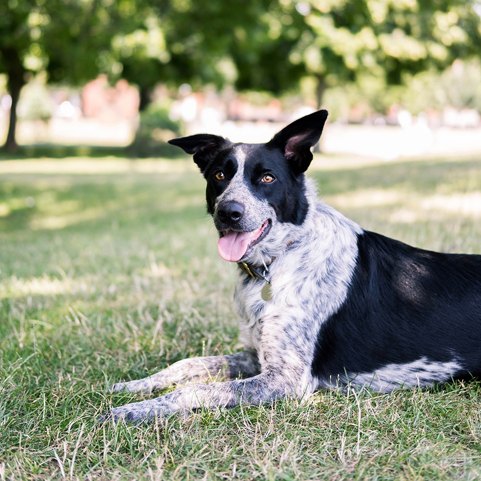 About (hug)london Branding Agency | (hug)london