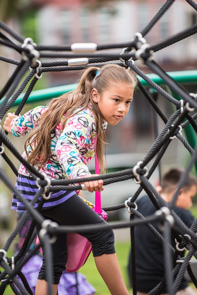 Clarke Square Park — Gerber Leisure Products