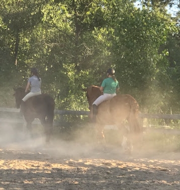 Offering Alternative Therapy with Smiles (O.A.T.S.)