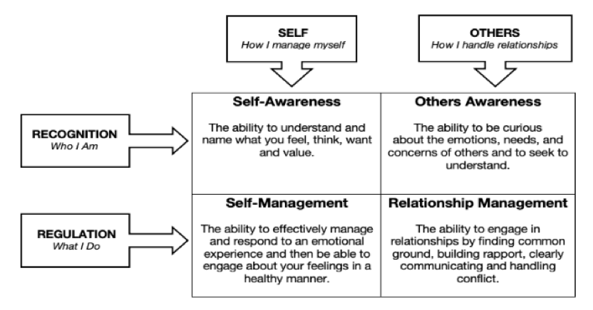 Self Management If You Can Name It You Can Tame It WellSpring self-management-if-you-can-name-it-you-can-tame-it-wellspring