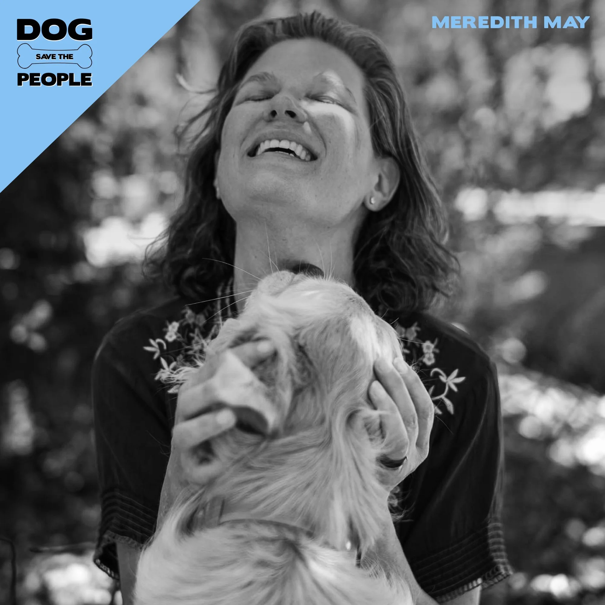 Embracing A Slower and More Sensitive Lifestyle, Thanks To Your Dog ...