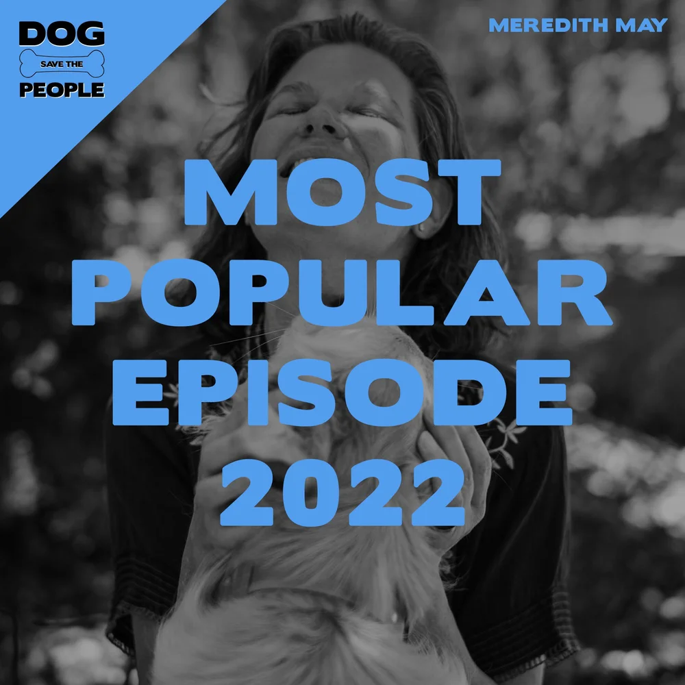 The Most Popular Episode of Dog Save The People in 2022 — Dog Save The ...
