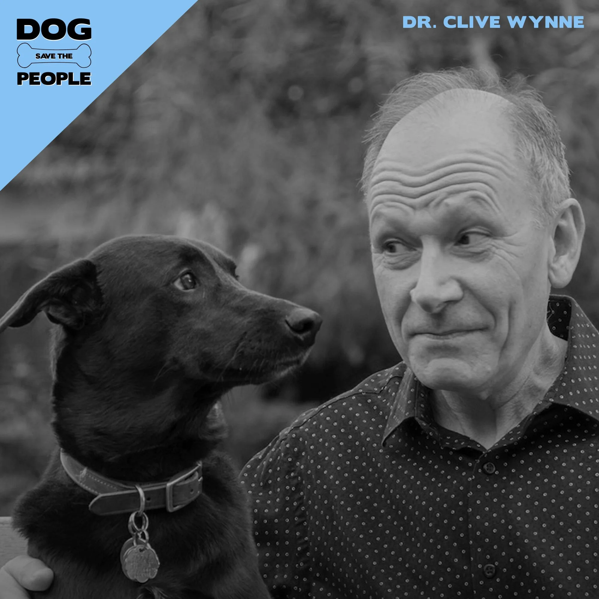 Dog Save The People | How Dogs Make Our Lives Better
