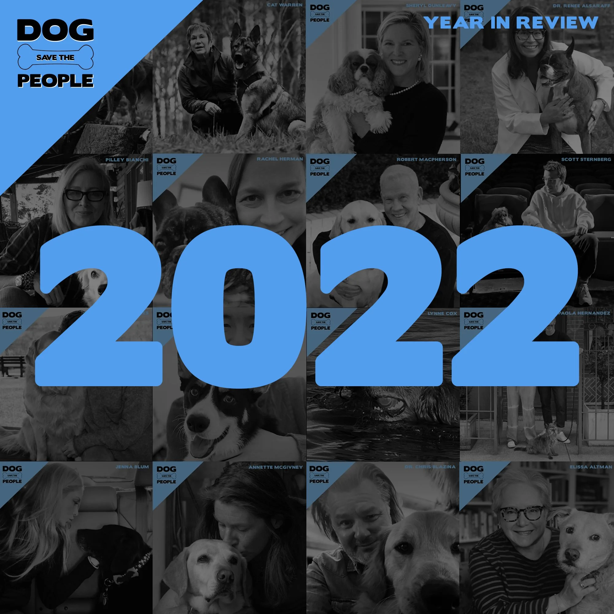How Dogs Lifted Our Spirits In 2022 — Dog Save The People
