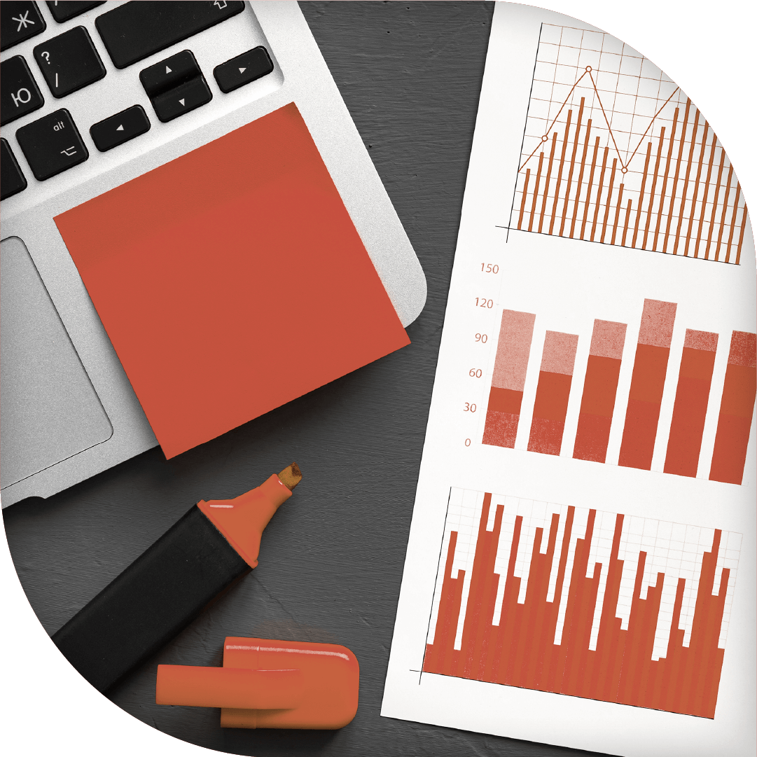 The Virsa Foundation Inc.