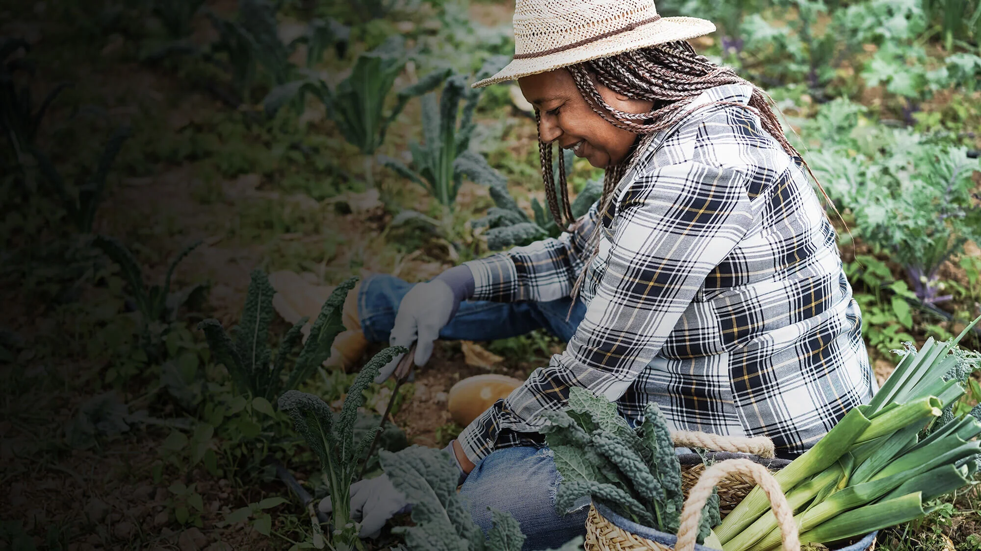 The Virsa Foundation Inc.