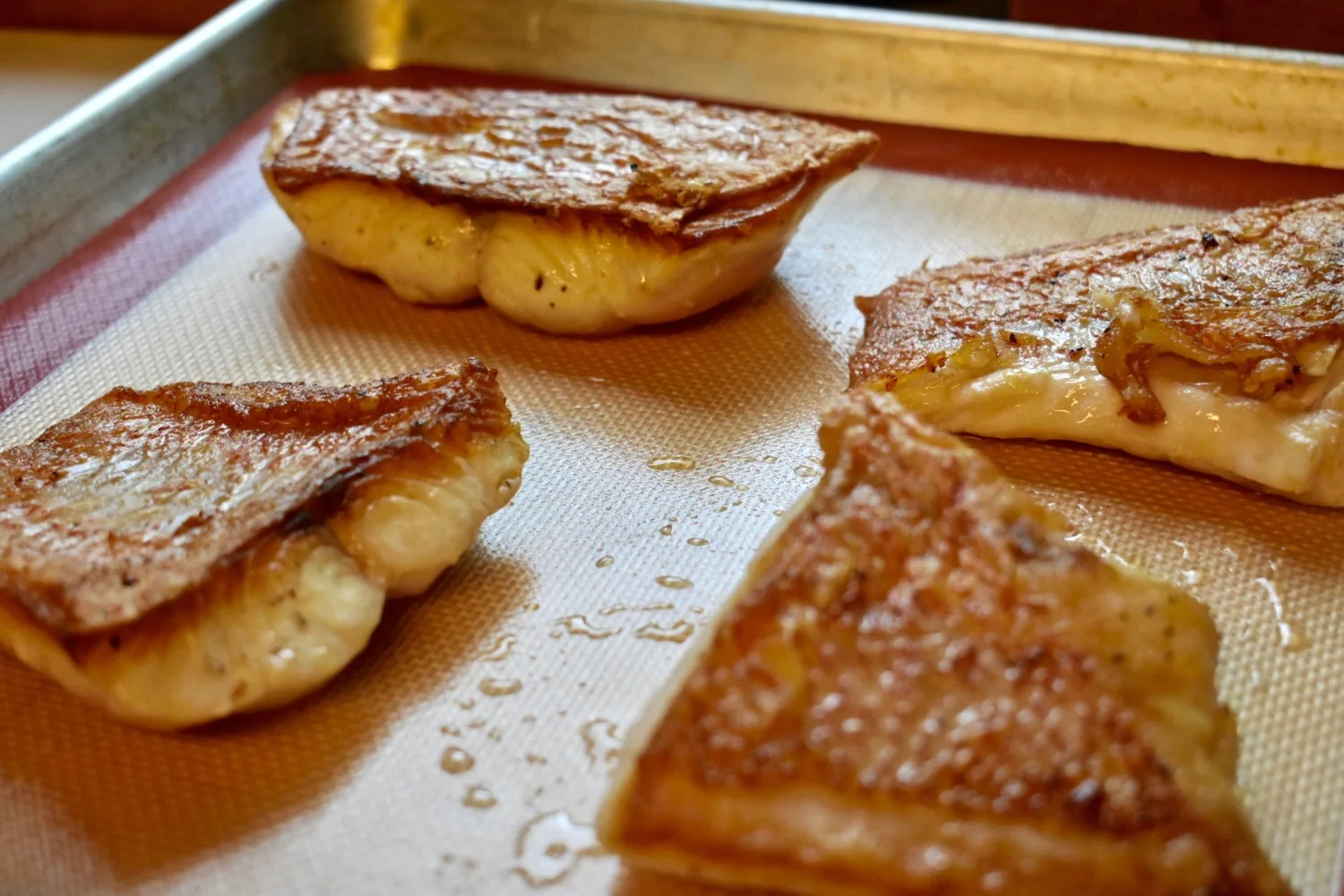 Chillo con Salsa Criolla (Red Snapper with Creole Sauce) — The Sofrito ...