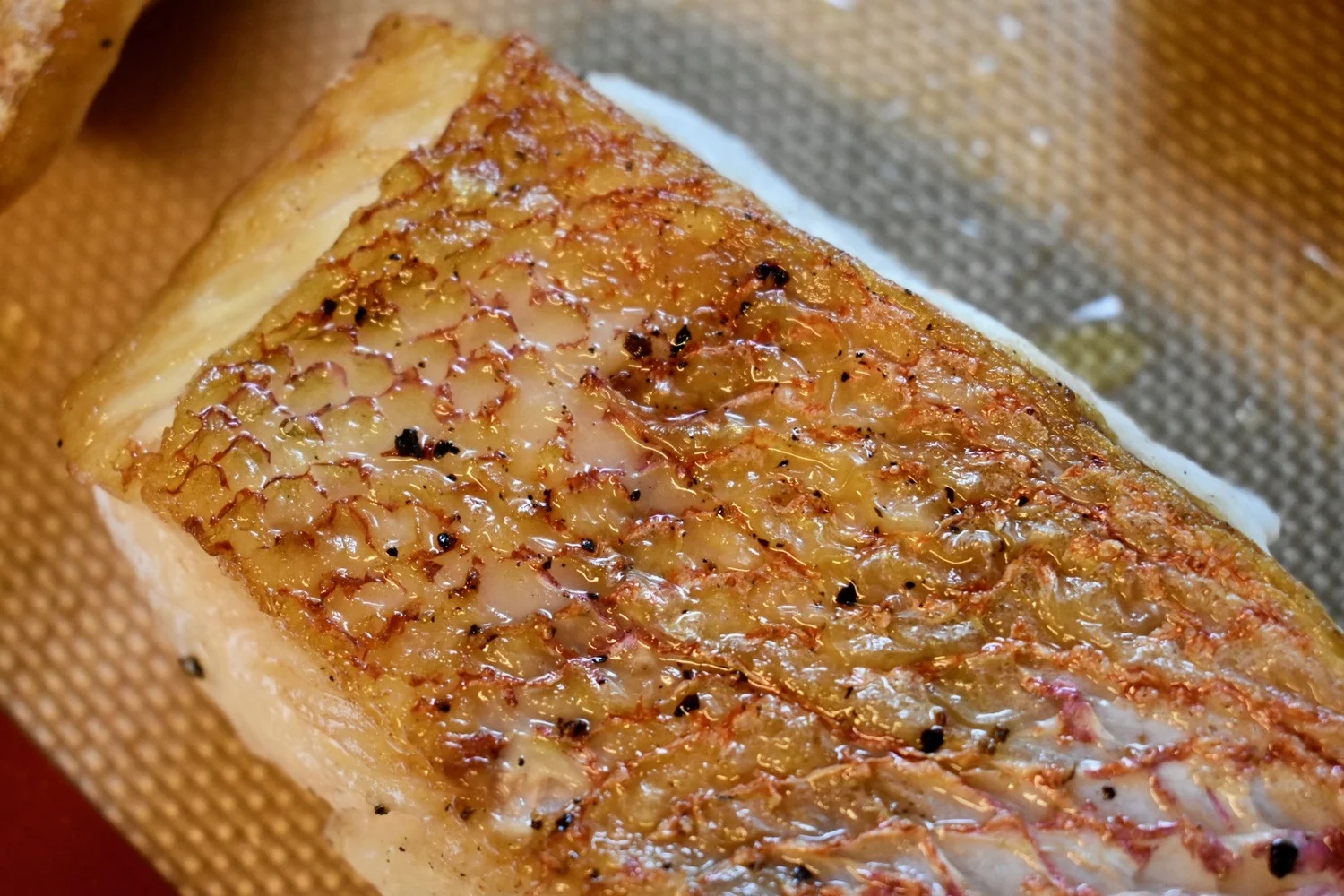 Chillo con Salsa Criolla (Red Snapper with Creole Sauce) — The Sofrito ...