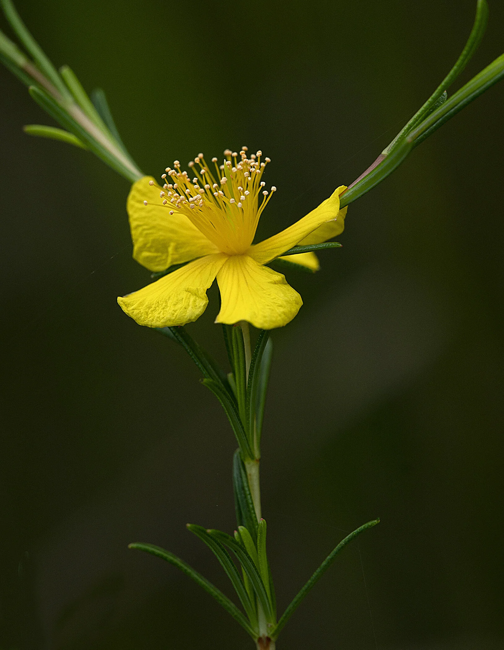 Babcock/Webb Wildlife Management Area~ Day 1 — Clyde & Niki's Photo Journal