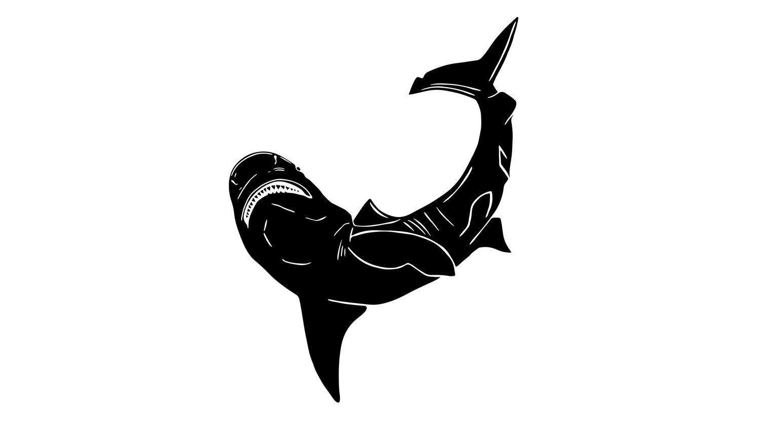 Shark Jaws Silhouette