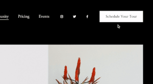 Change Color On Hover Header Button — Ghost Plugins