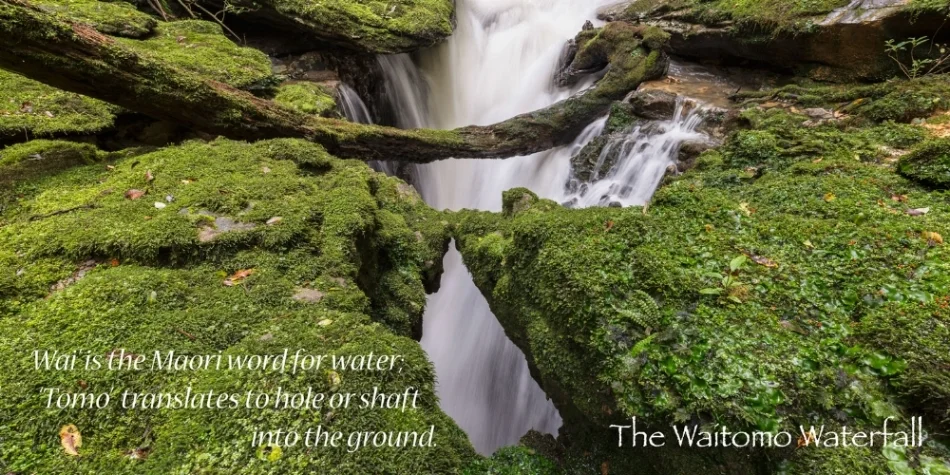 'Waitomo Caves; Water, Time, Light' souvenir book — a great backyard