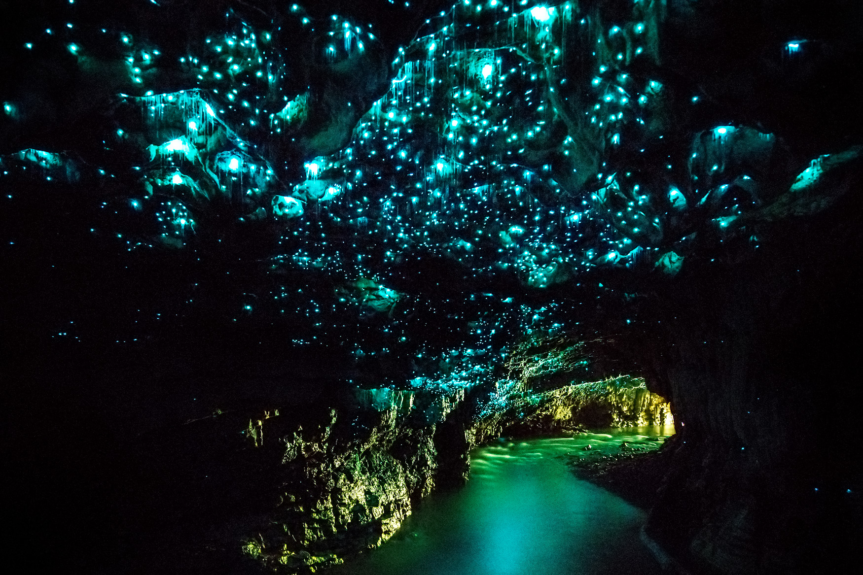 Gallery of Waitomo Caves, New Zealand images by photographer Corin ...