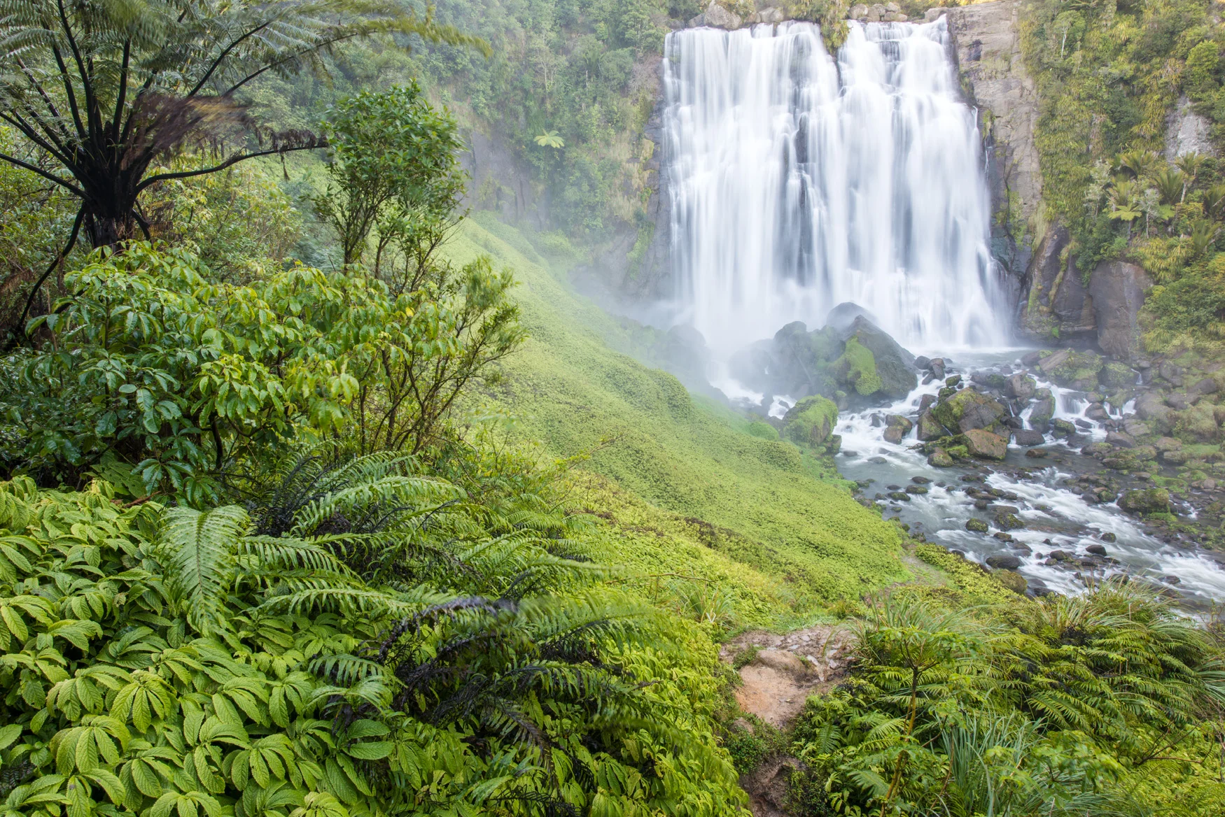 Gallery of Waitomo Caves, New Zealand images by photographer Corin ...