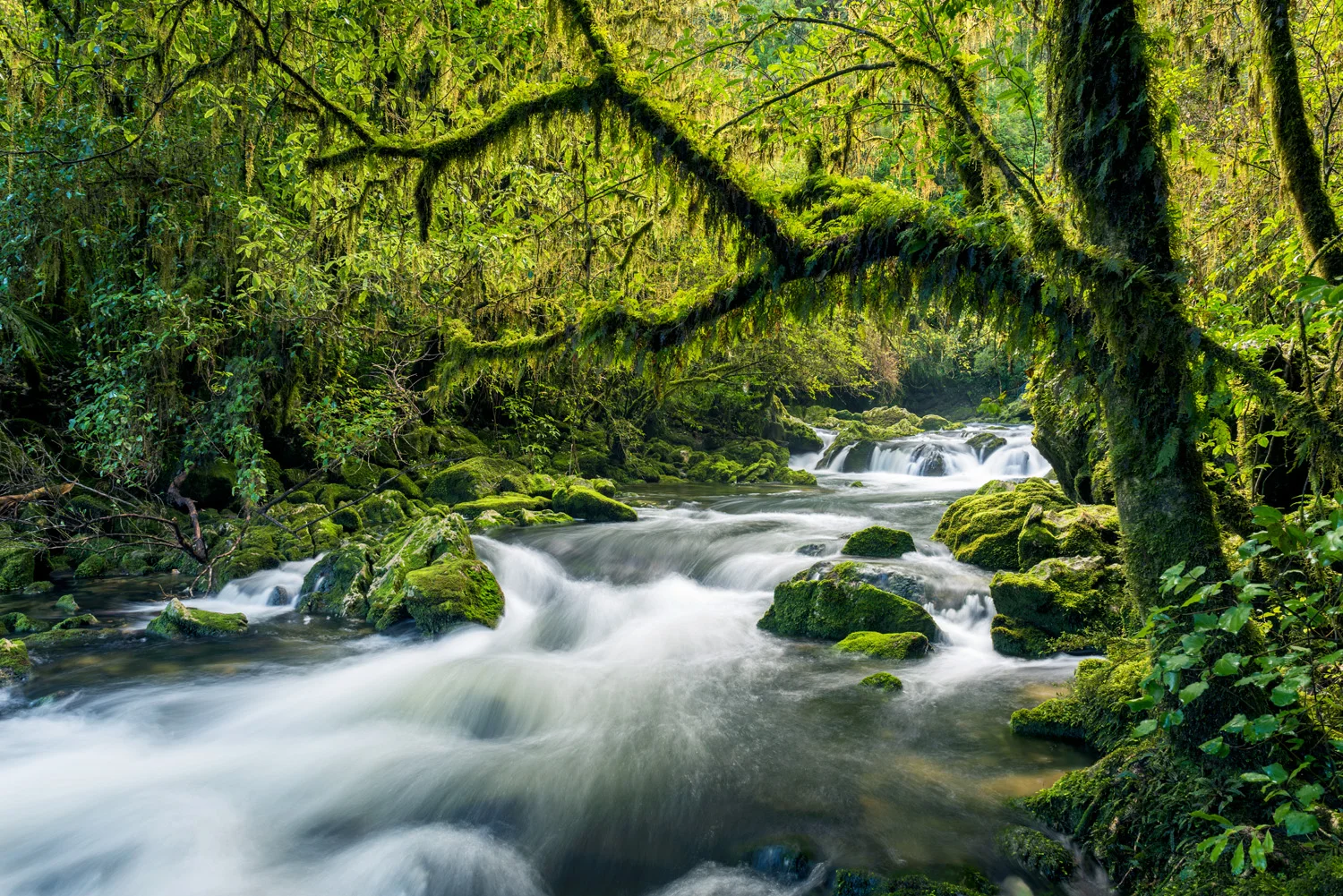 Riwaka River — a great backyard