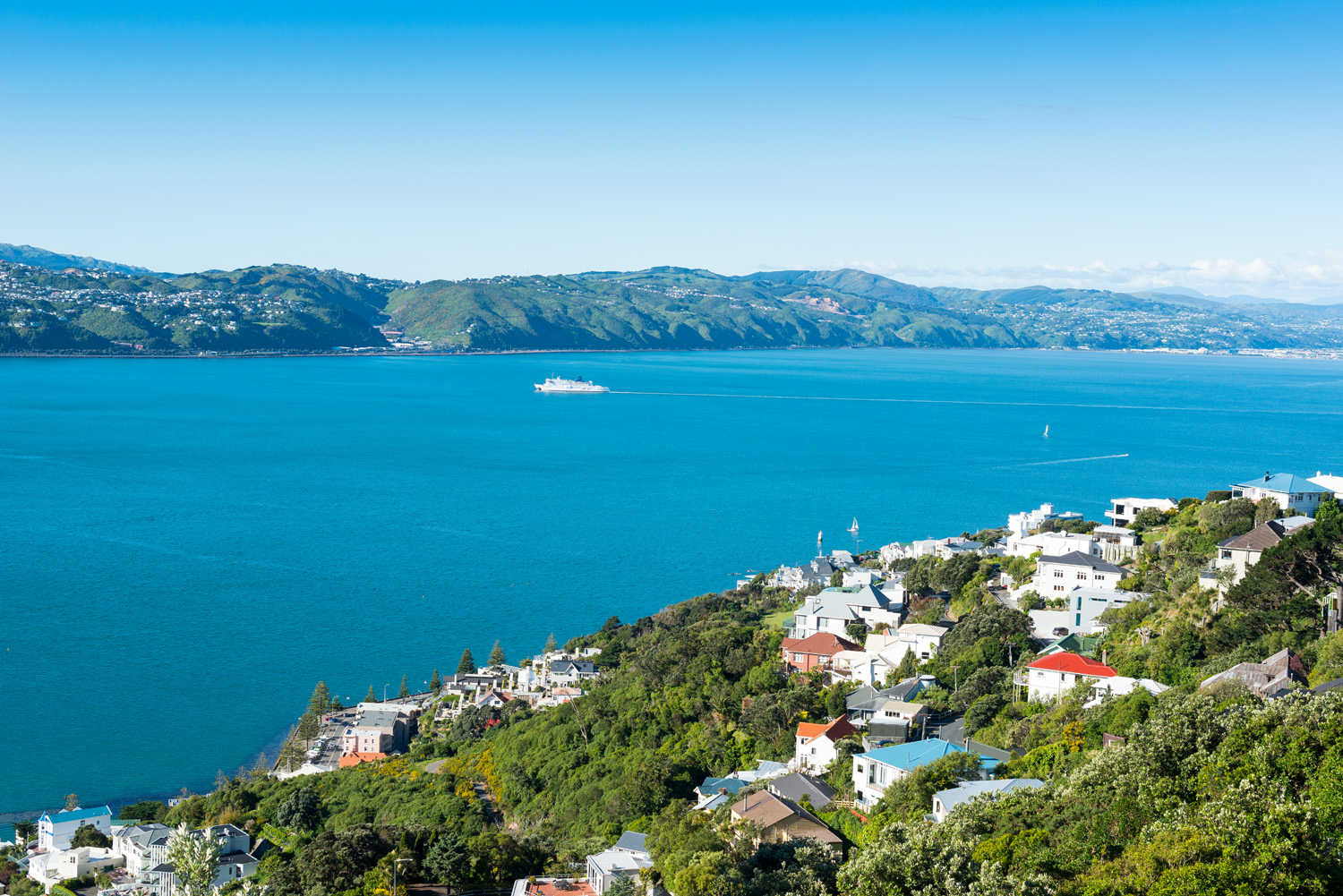 Wellington Gallery by New Zealand photographer Corin Walker Bain ...